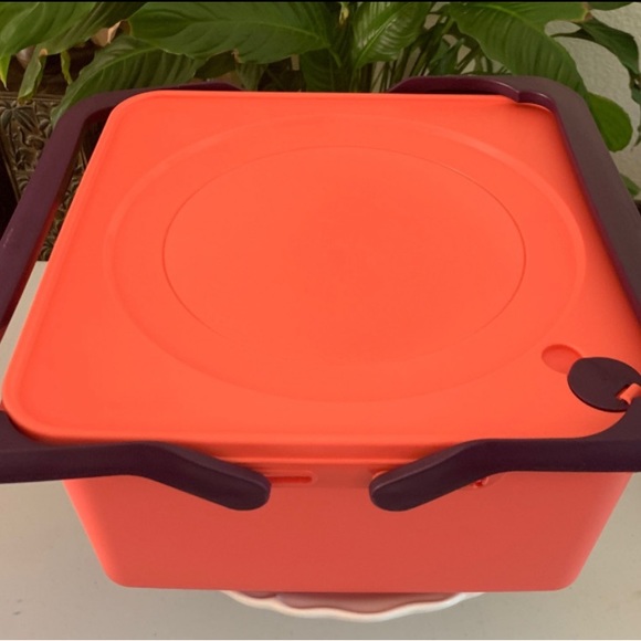 Tupperware | Kitchen | Tupperware Porta Breadpicnic Square Kimchi ...